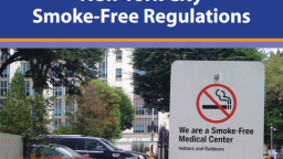 Examples of Smokefree Hospital Guides | Vital Strategies Tobacco ...